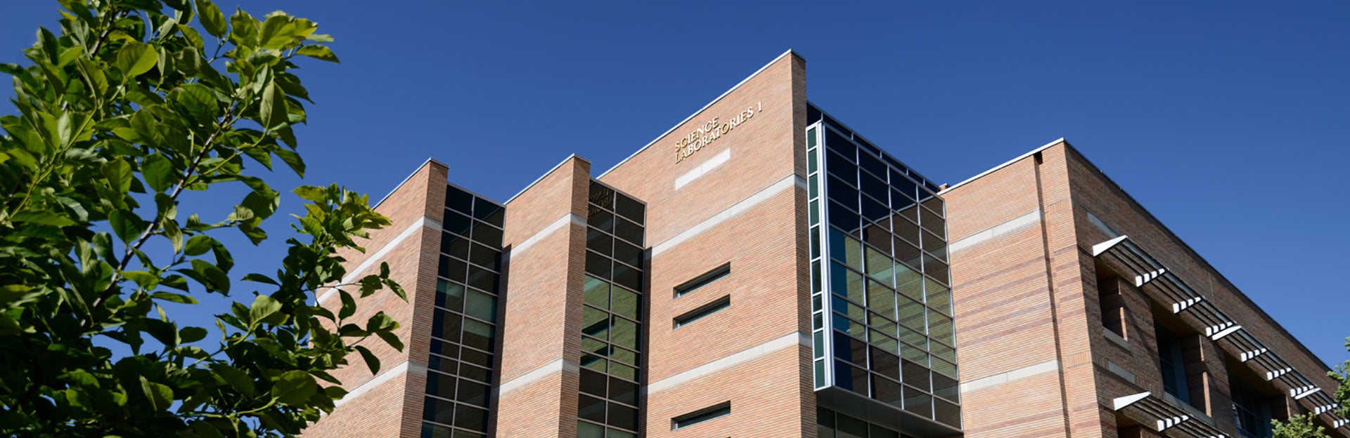 About NGSA | Neuroscience Graduate Program